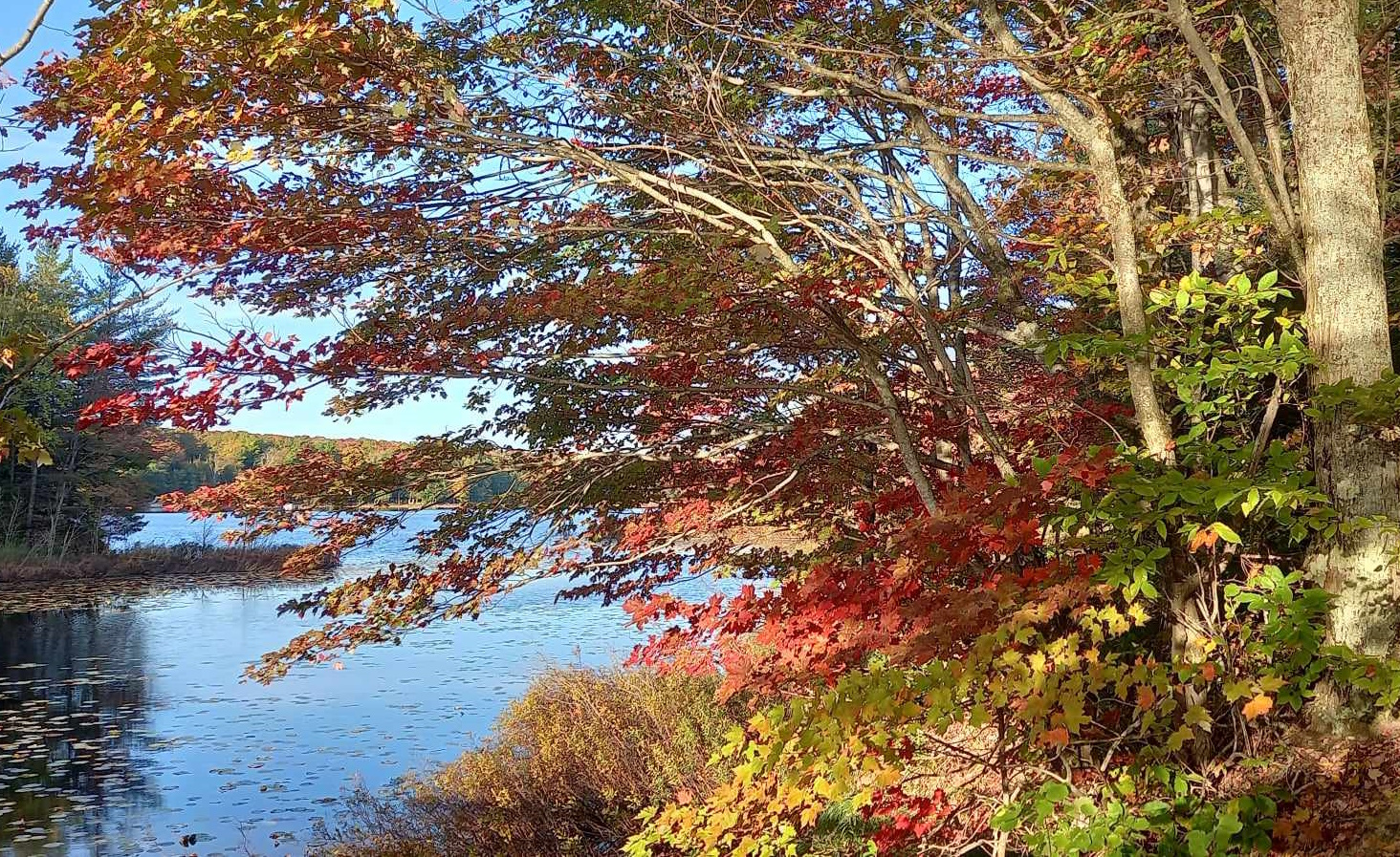 Have I Peaked? – Linnea's Lines